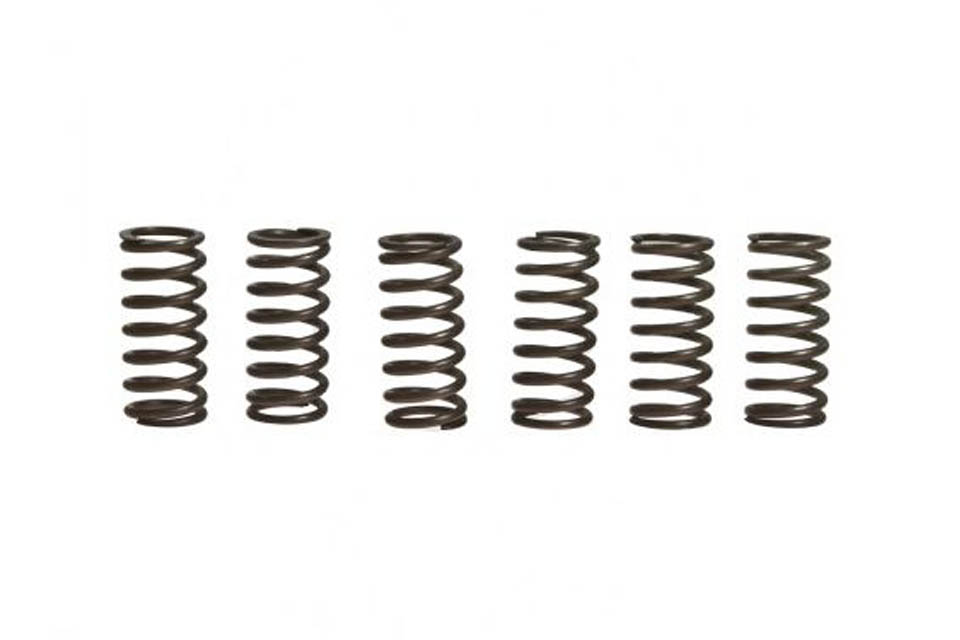 BMW F650 GS Dakar ST CS Clutch Spring Set EBC