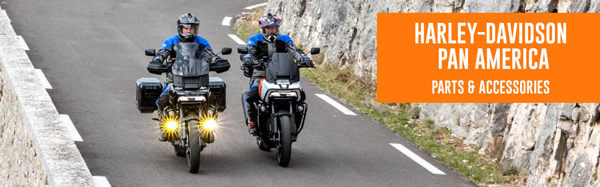 wunderlichamerica.com: Harley Davidson Pan America